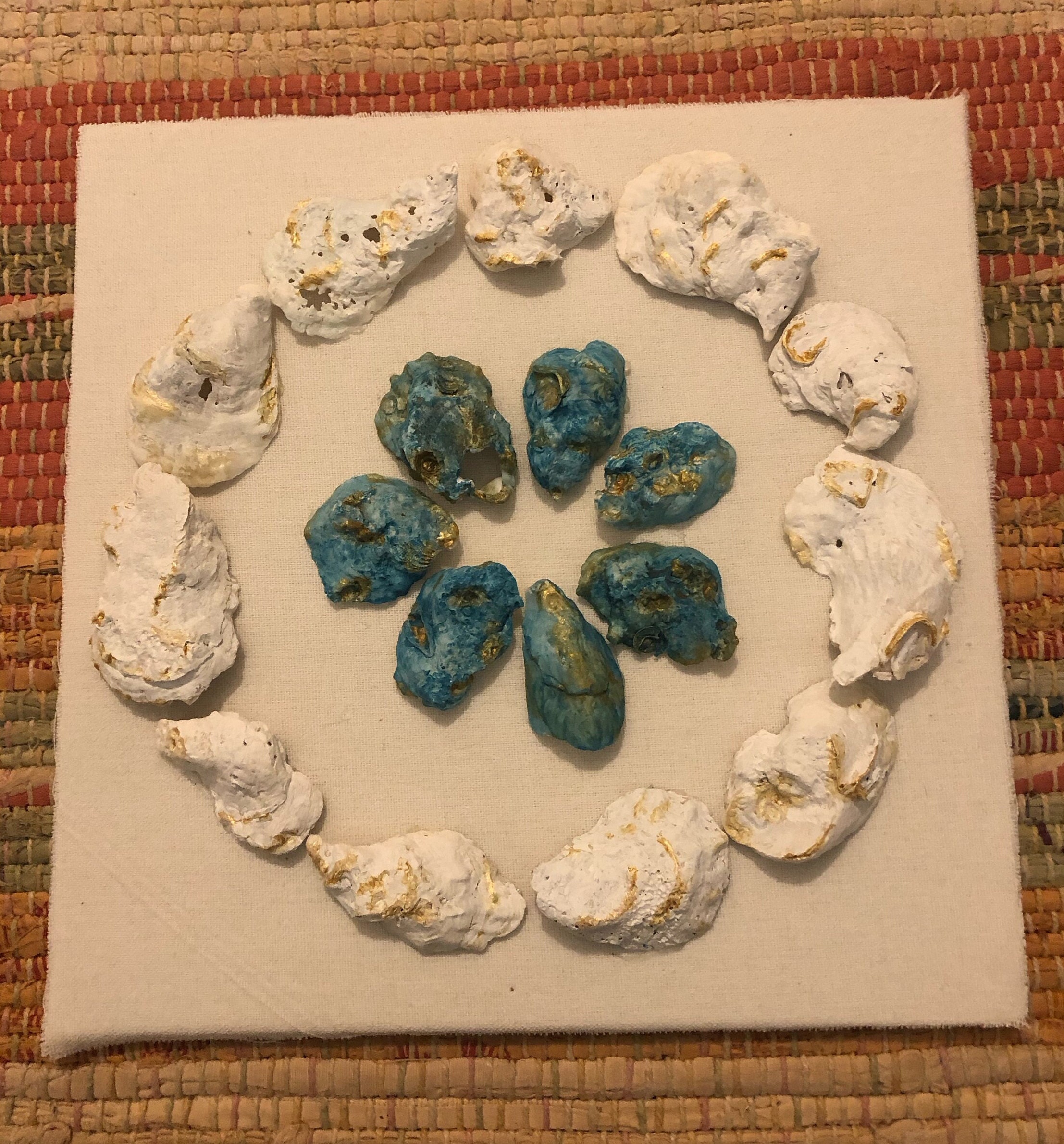 Oyster Shell Shadow Box, 10x10 - Etsy