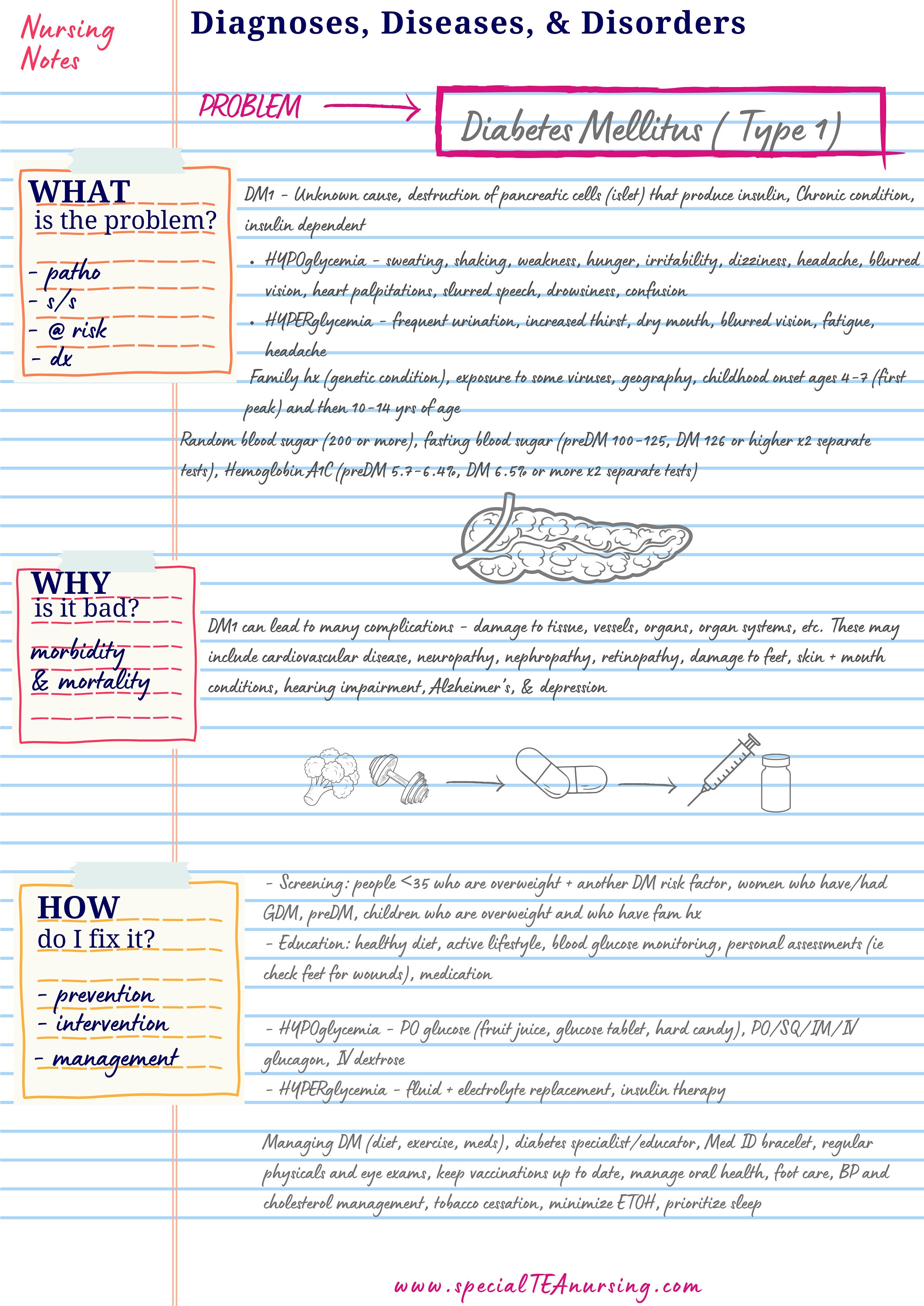 Nursing Study Template; Diagnoses, Diseases, & Disorders - Etsy