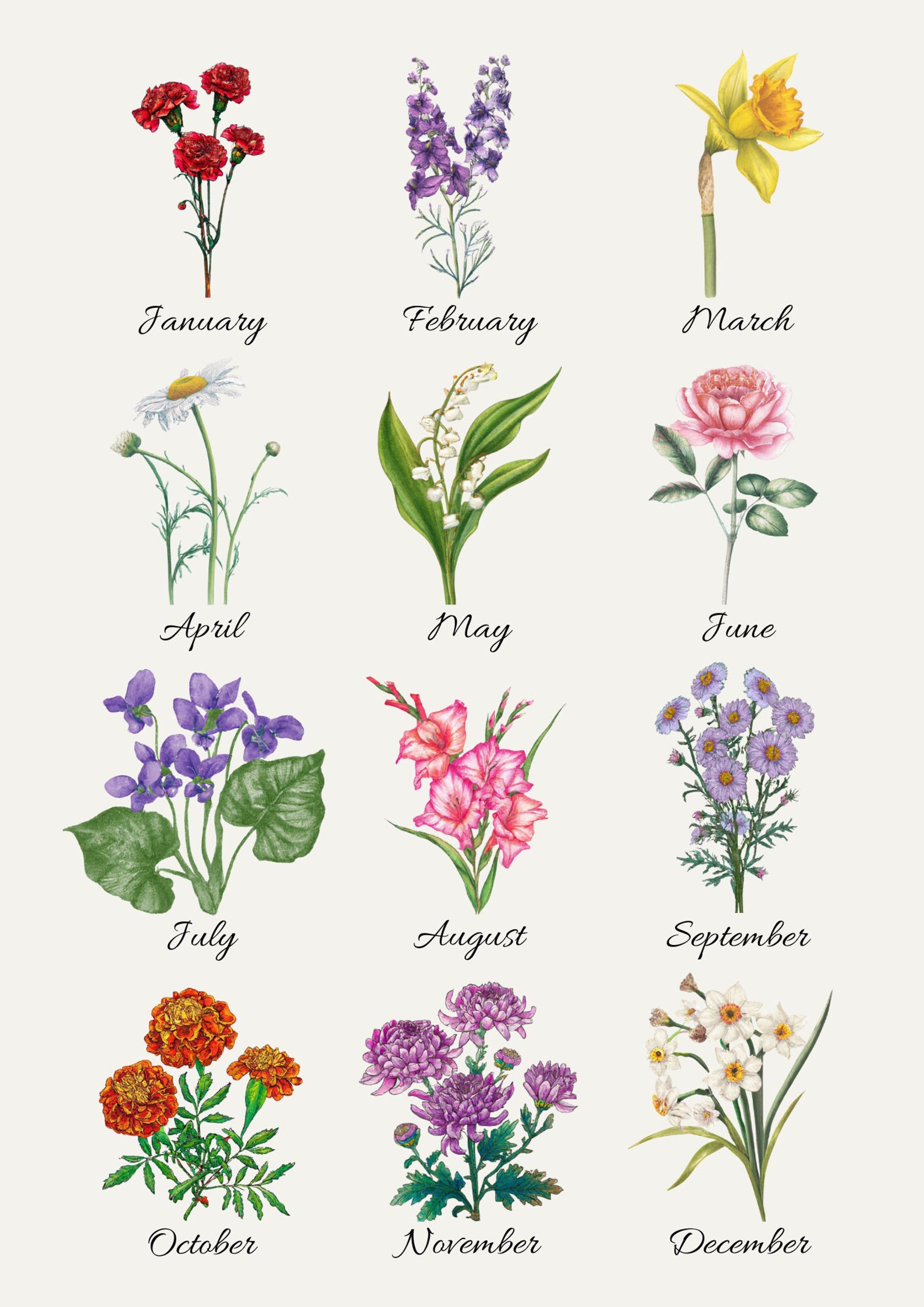 Birth Month Flower Print Botanical Illustrated Birth Month Flowers ...