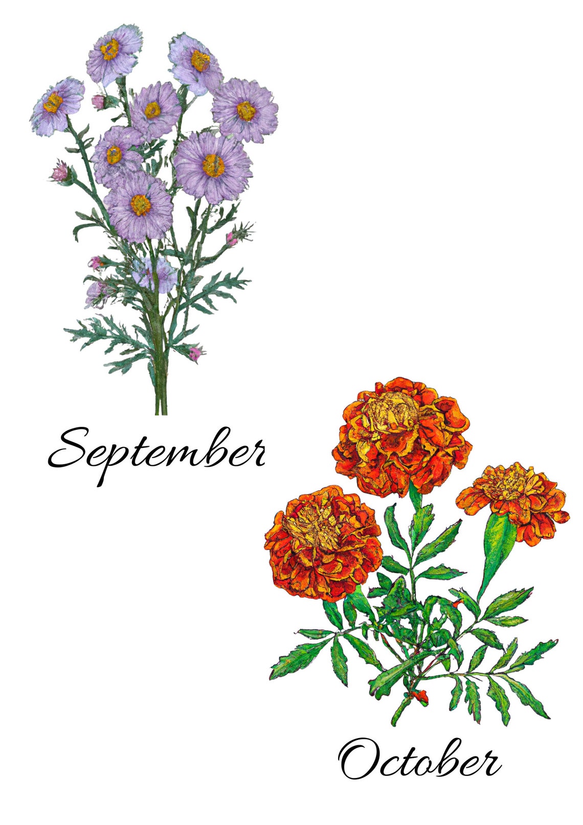 Birth Month Flower Print Botanical Illustrated Birth Month Flowers ...