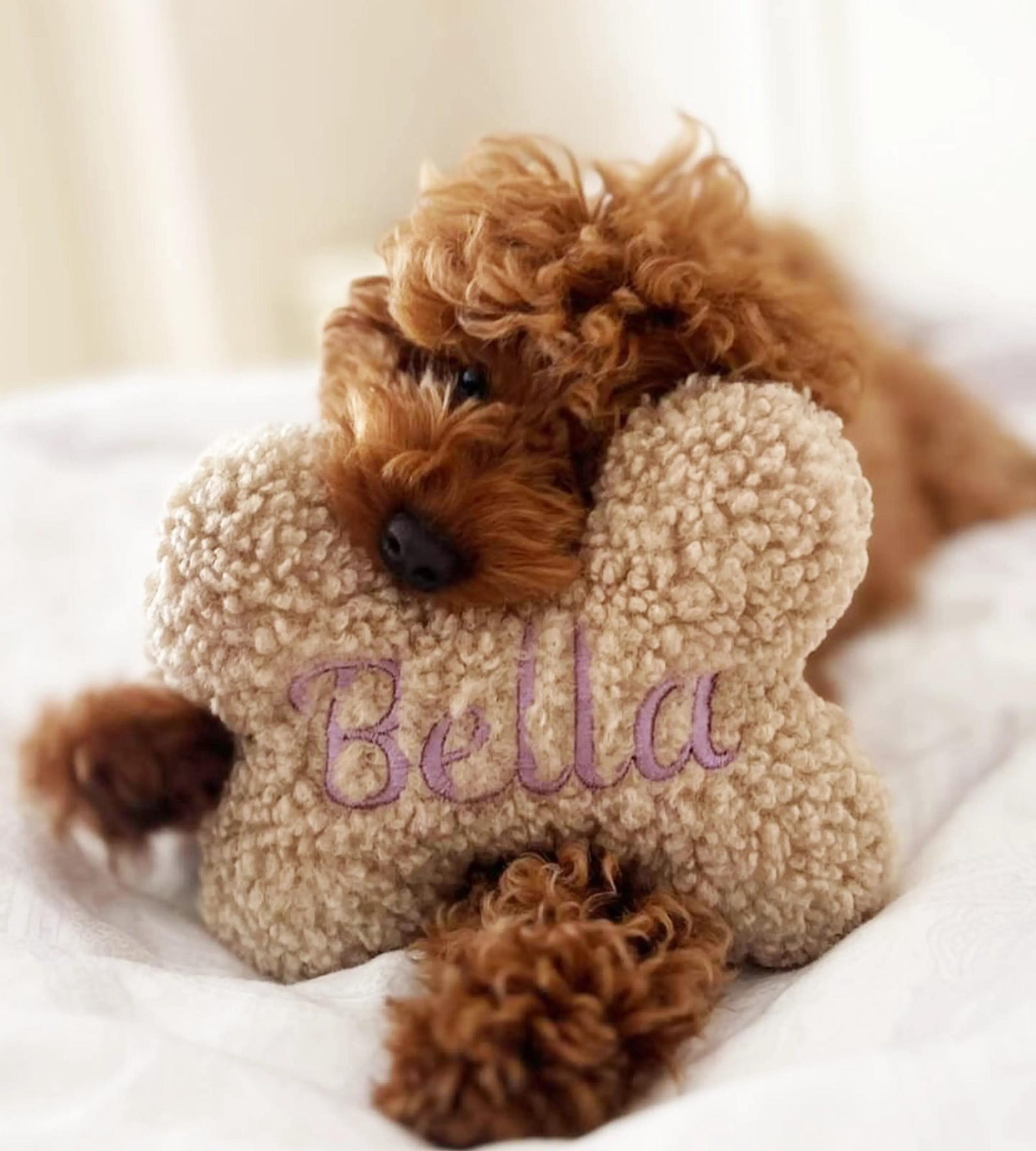 Handmade Boucle Pet Bone Pillow - Custom Name Soft Dog Toy With ...