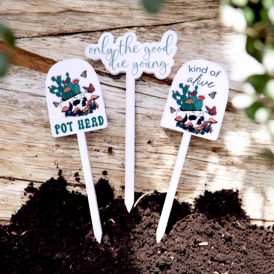 Funny Mini Plants Stakes, Dying Plant Stakes, Funny Cactus Plant Stakes ...