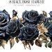 8 Black Rose Flower Watercolor Clipart, Spring Flowers Clipart, Roses ...