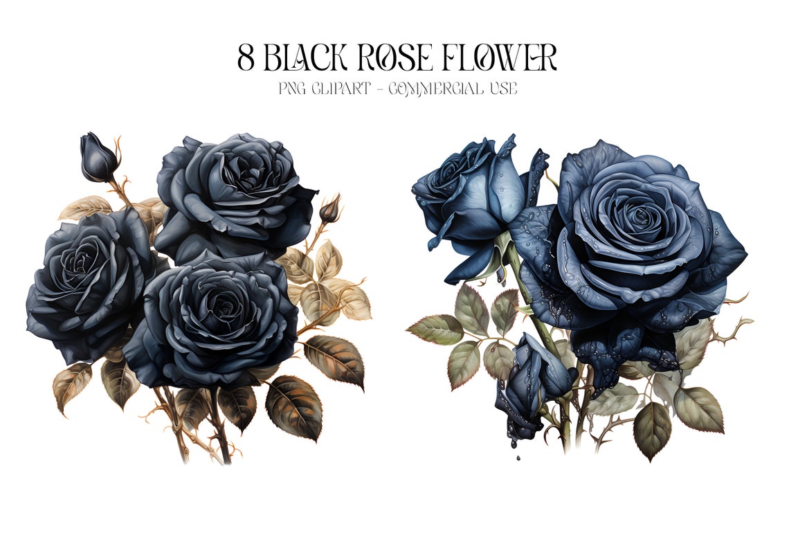 8 Black Rose Flower Watercolor Clipart, Spring Flowers Clipart, Roses ...