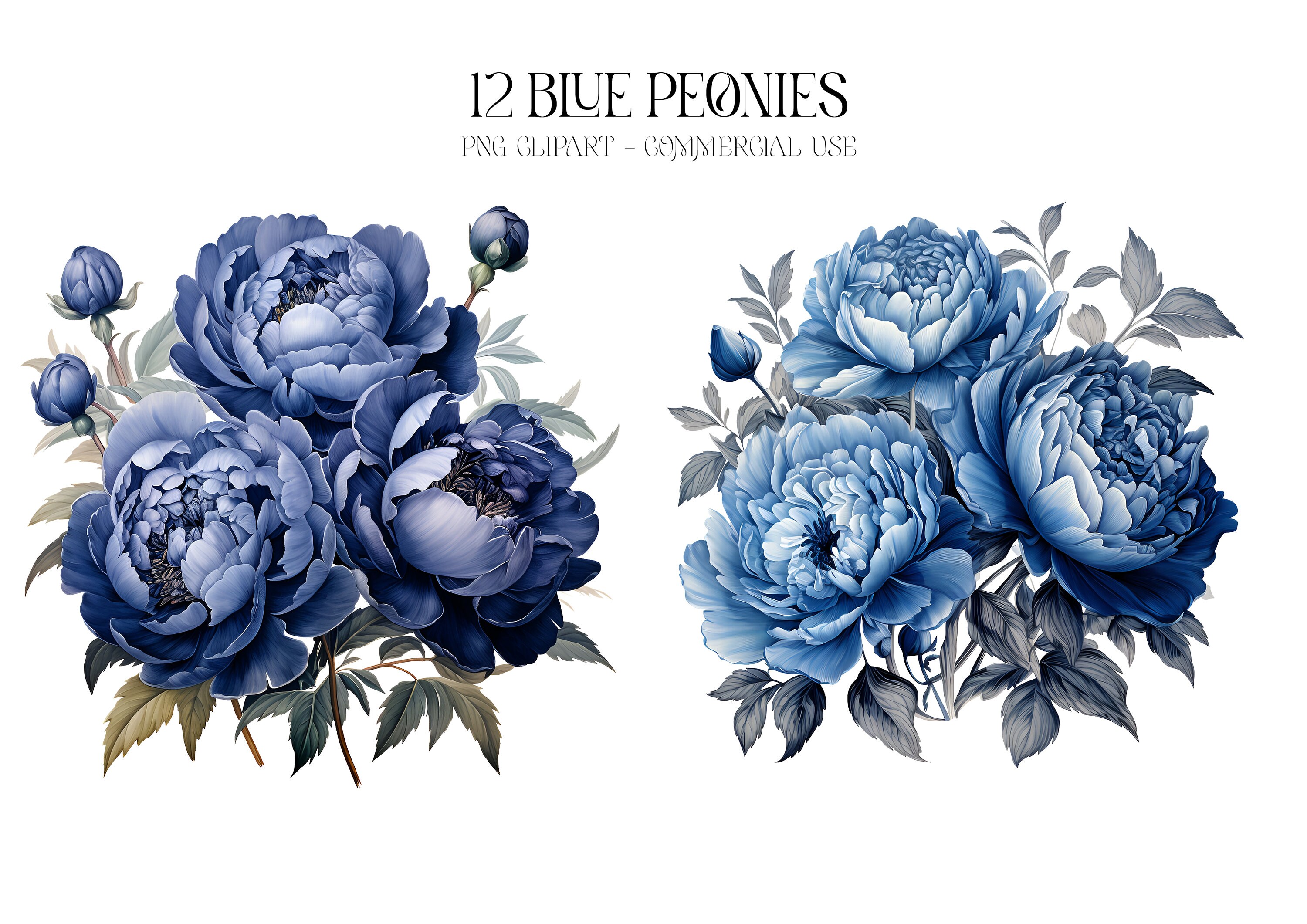 12 Blue Peonies Watercolor Clipart, Summer Flowers Clipart, Peonies ...