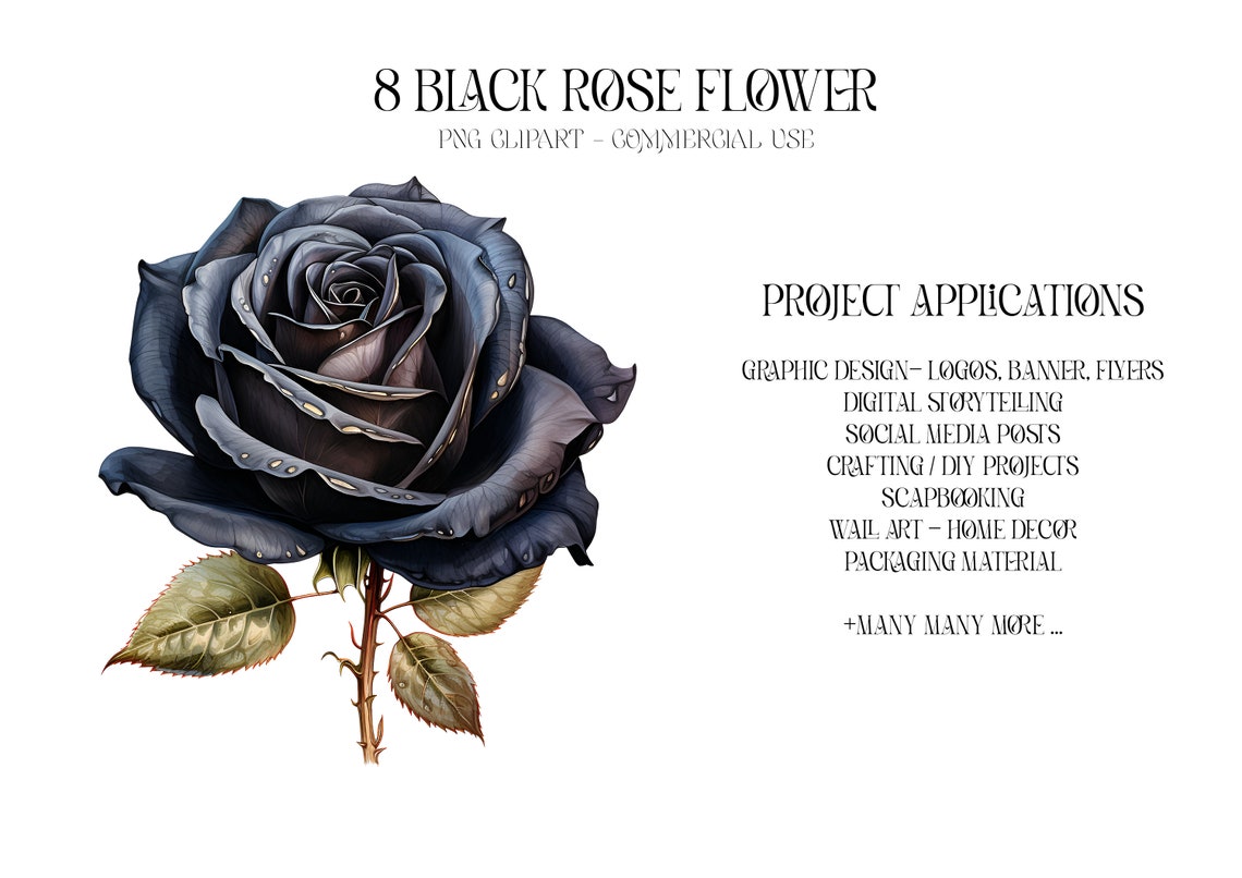 8 Black Rose Flower Watercolor Clipart, Spring Flowers Clipart, Roses ...