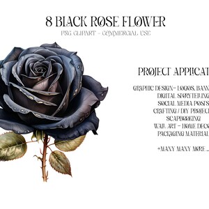 8 Black Rose Flower Watercolor Clipart, Spring Flowers Clipart, Roses ...