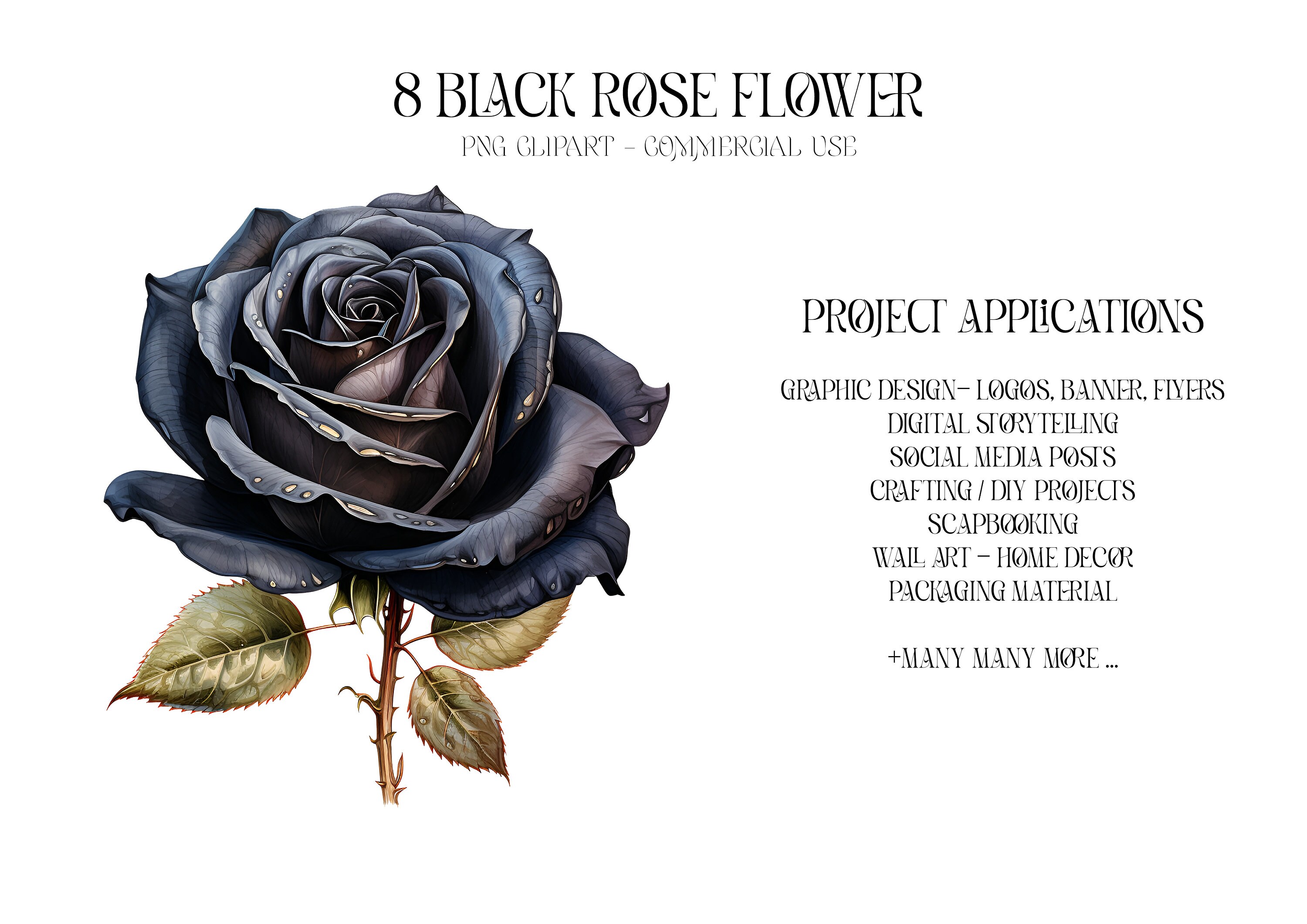 8 Black Rose Flower Watercolor Clipart, Spring Flowers Clipart, Roses ...