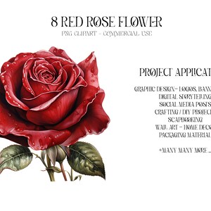 8 Red Rose Flower Watercolor Clipart, Spring Flowers Clipart, Roses ...