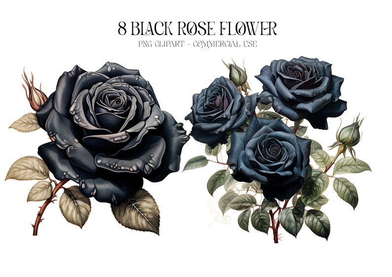 8 Black Rose Flower Watercolor Clipart, Spring Flowers Clipart, Roses ...