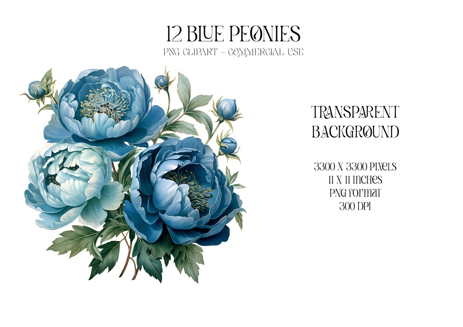 12 Blue Peonies Watercolor Clipart, Summer Flowers Clipart, Peonies ...
