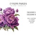12 Purple Peonies Watercolor Clipart, Summer Flowers Clipart, Peonies ...