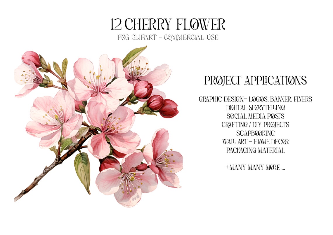 12 Cherry Flower Watercolor Clipart, Spring Flowers Clipart, Cherry ...