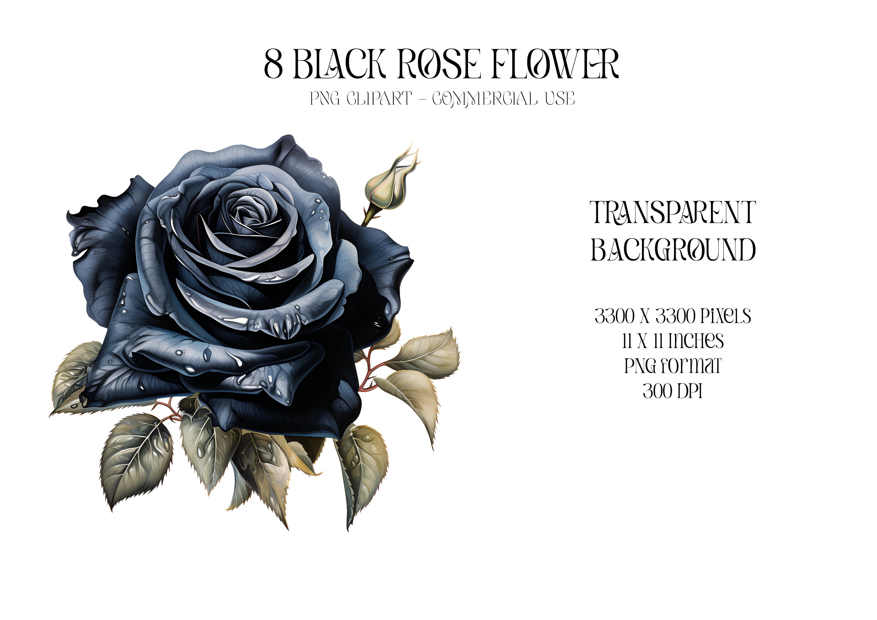 8 Black Rose Flower Watercolor Clipart, Spring Flowers Clipart, Roses ...