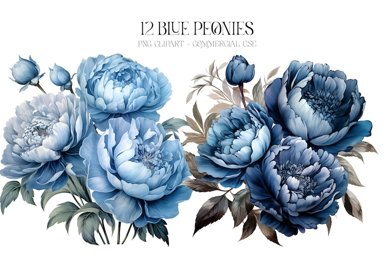 12 Blue Peonies Watercolor Clipart, Summer Flowers Clipart, Peonies ...