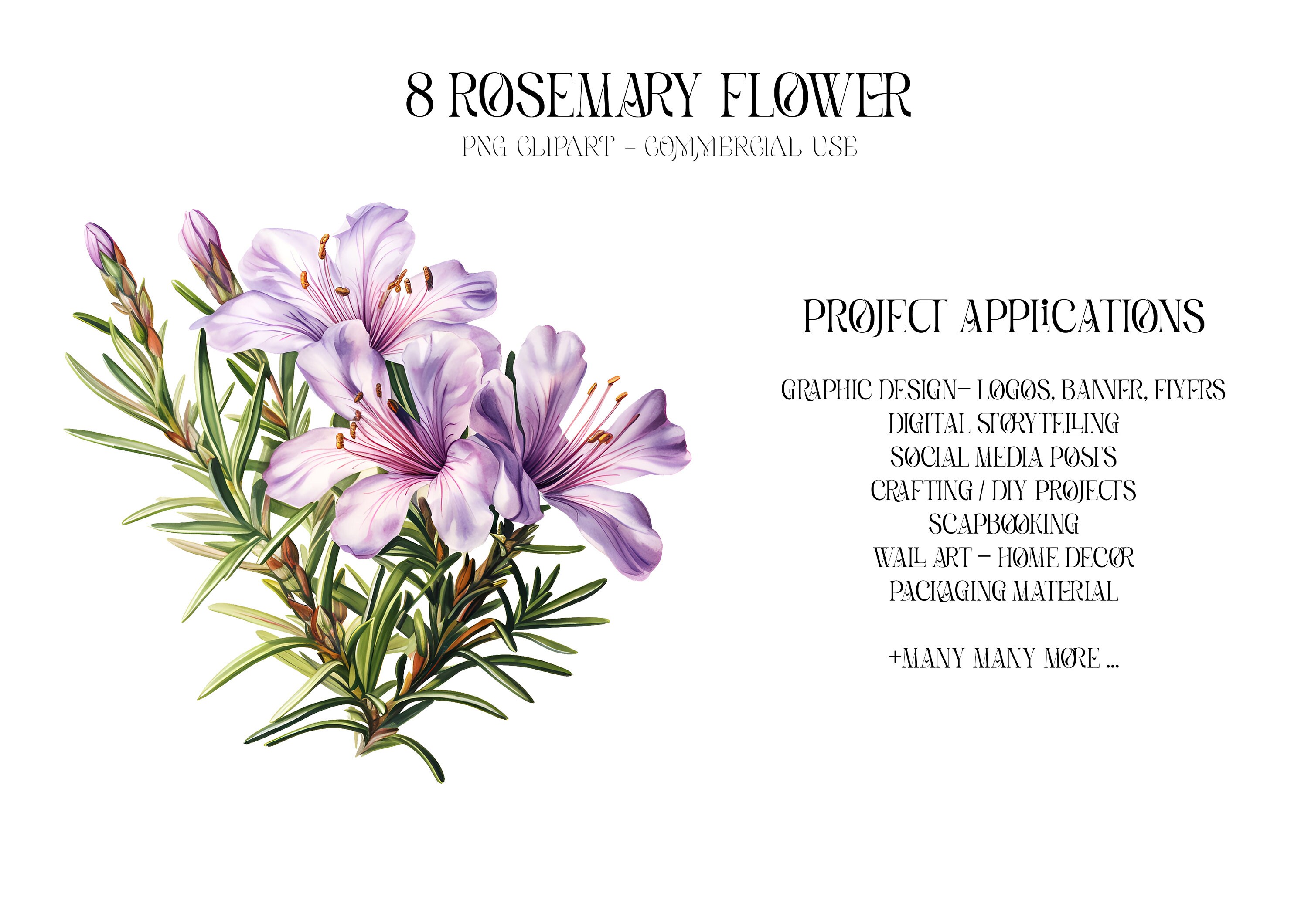 8 Clover Rosemary Clipart. Rosemary Clipart. Floral Clipart, Floral ...