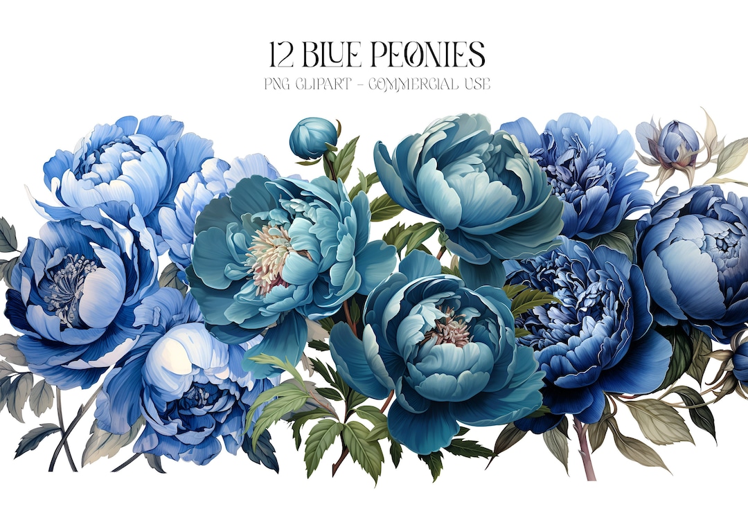 12 Blue Peonies Watercolor Clipart, Summer Flowers Clipart, Peonies ...