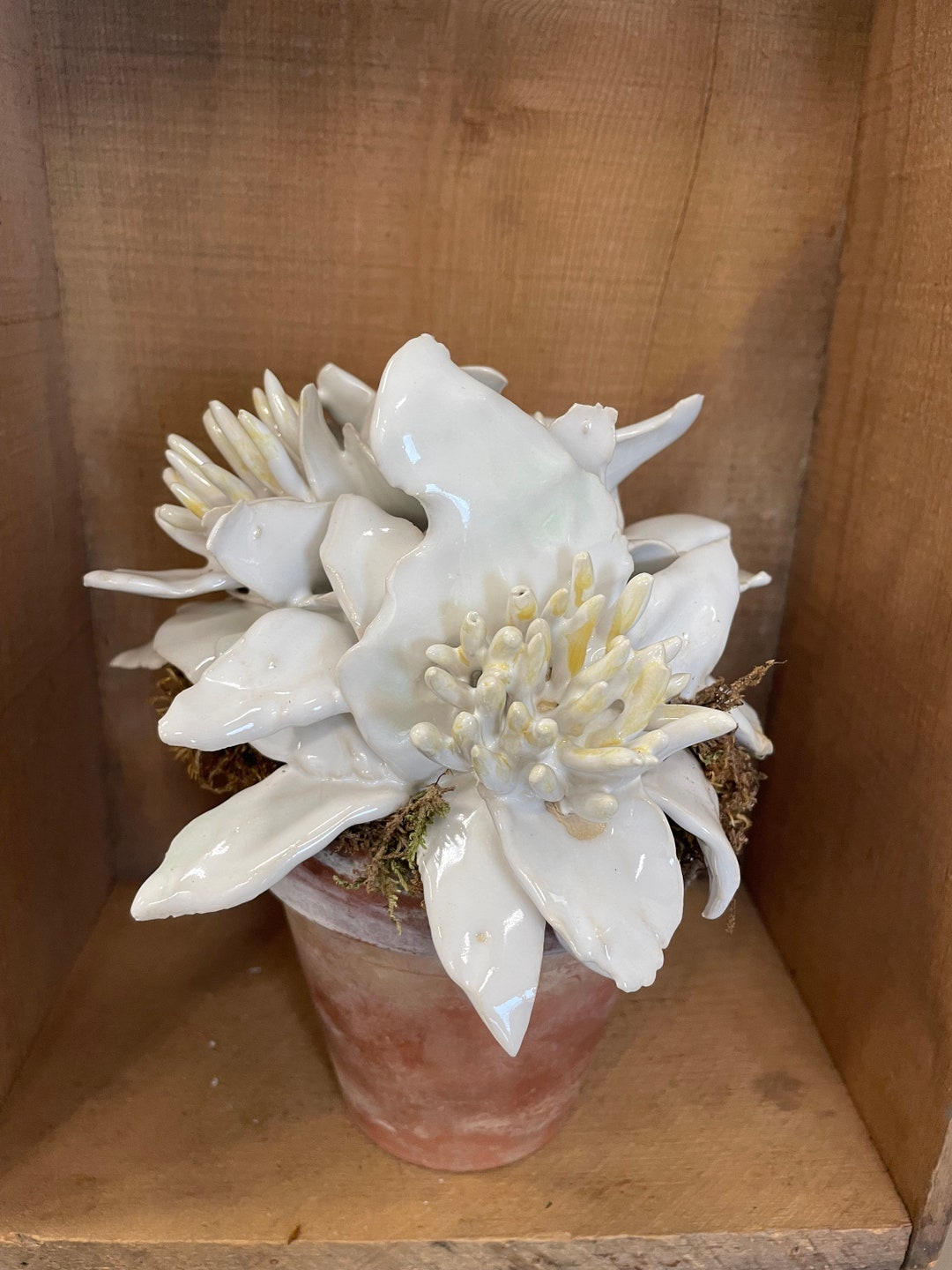 White Flowers Clay Glazed White in Natural Clay Pot - Etsy