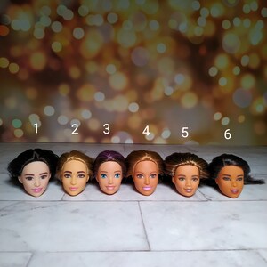 Barbie Doll Heads With Long Hair and Different Skin Tones. Fashion Doll ...