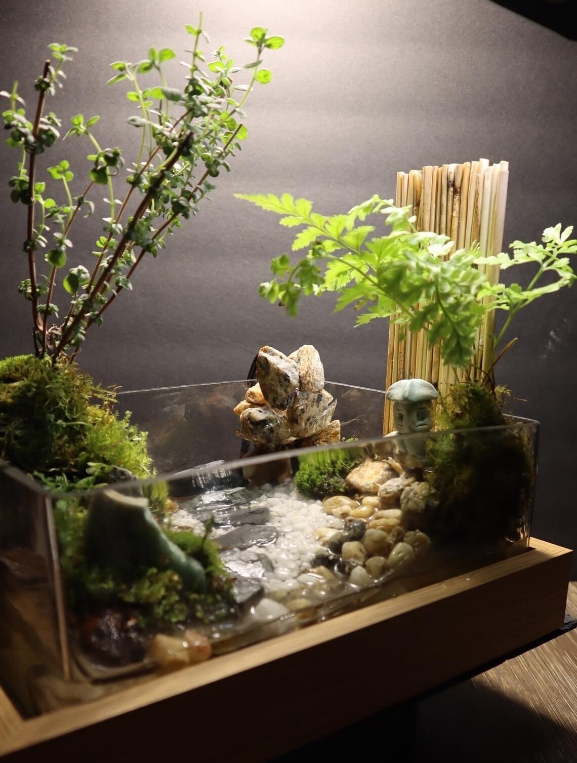 Live Plant Mini Garden Art, With Water Fountain and Creek, Bonsai, Desk ...