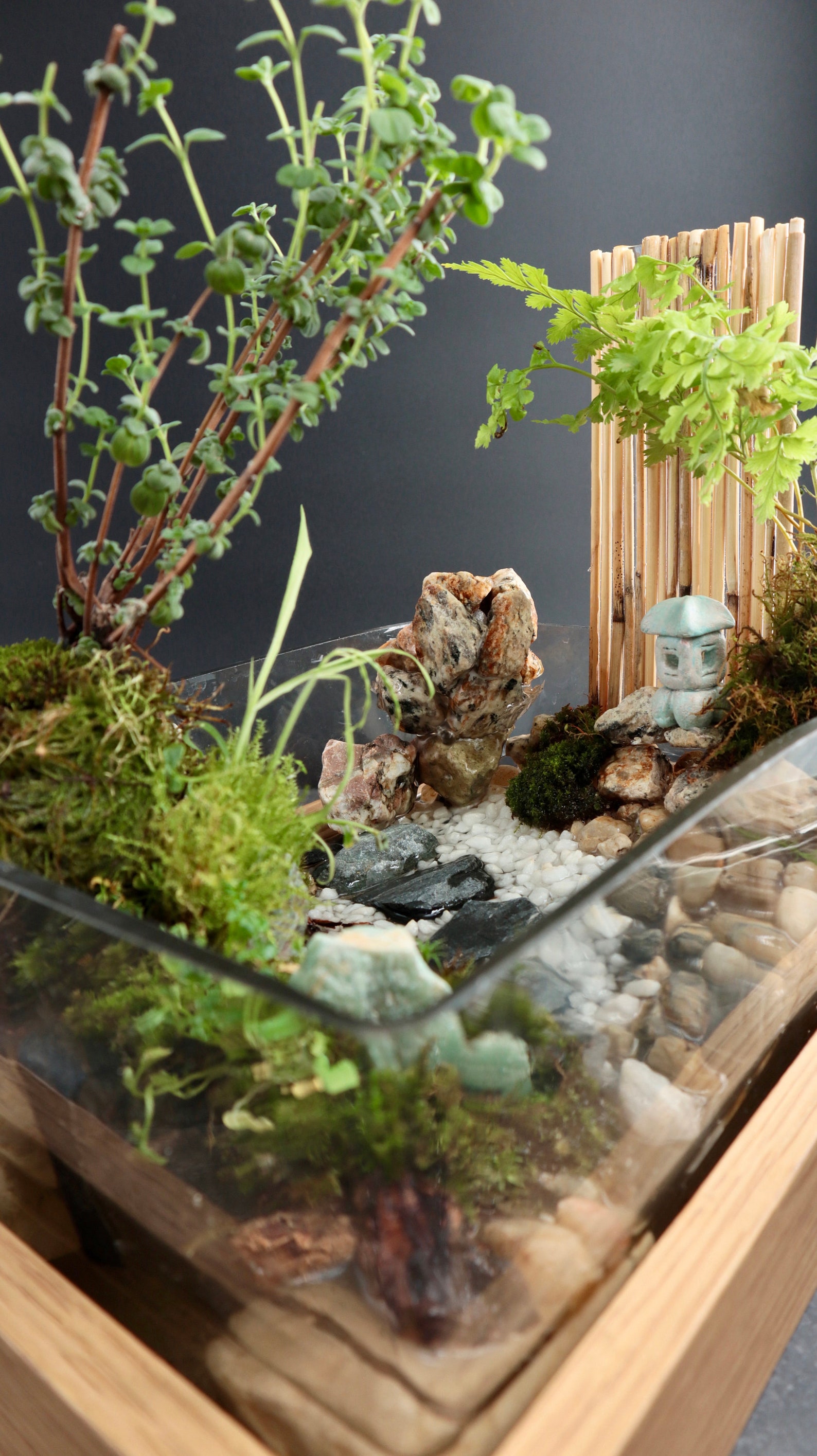 Live Plant Mini Garden Art, With Water Fountain and Creek, Bonsai, Desk ...