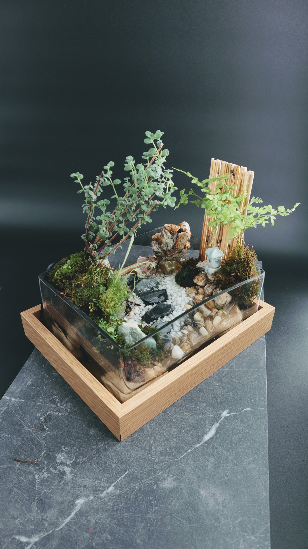 Live Plant Mini Garden Art, With Water Fountain and Creek, Bonsai, Desk ...