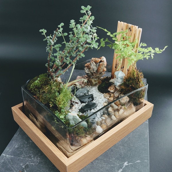 Bonsai Waterfall - Etsy