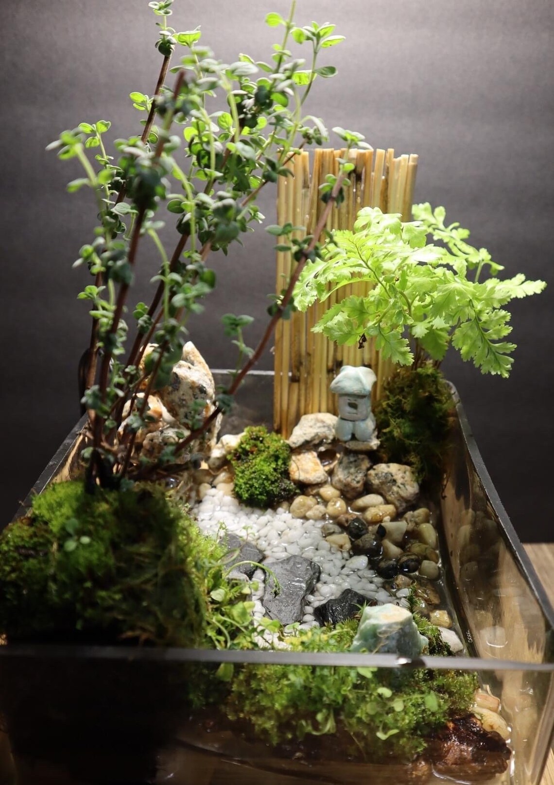 Live Plant Mini Garden Art, With Water Fountain and Creek, Bonsai, Desk ...