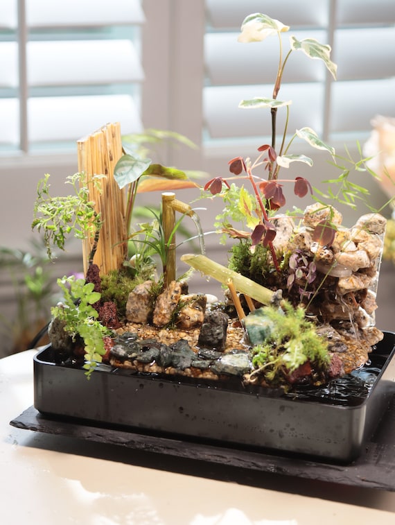 Miniature Indoor Water Garden