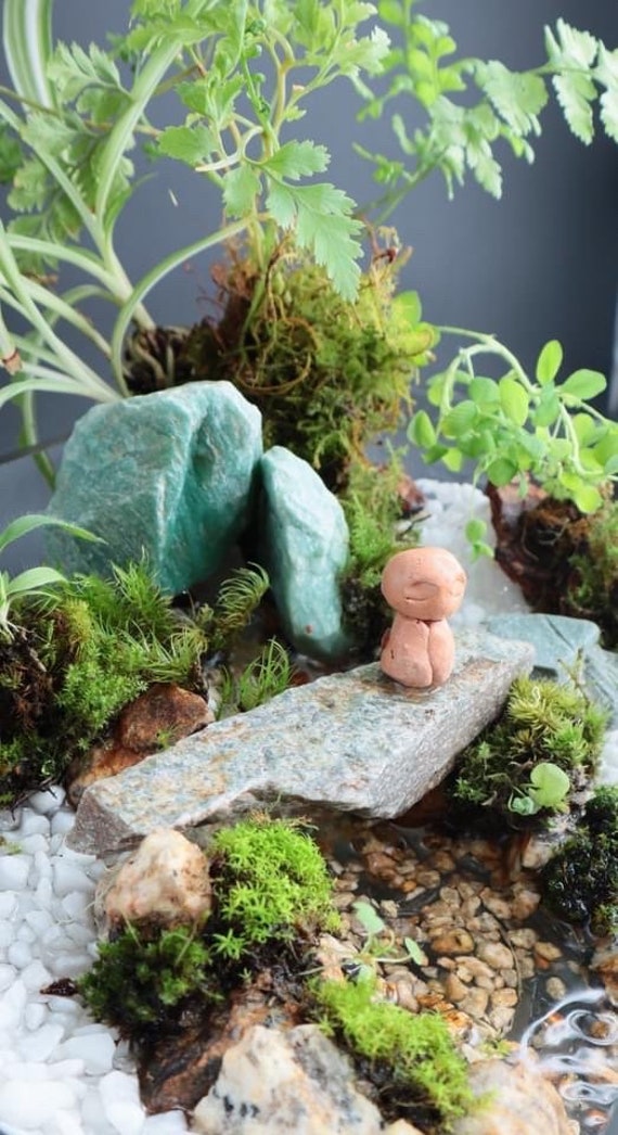 Miniature Indoor Water Garden