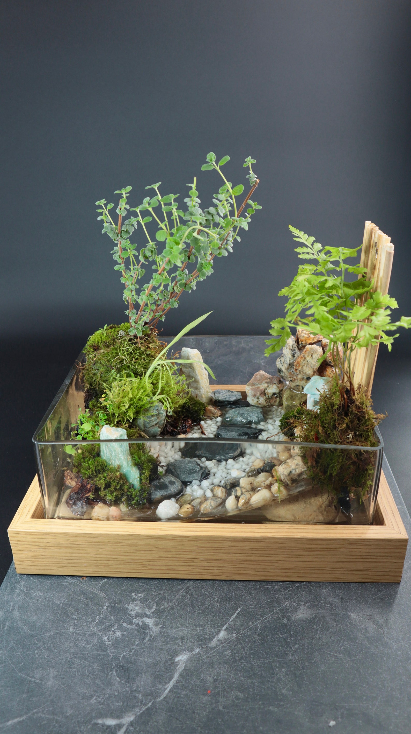 Live Plant Mini Garden Art, With Water Fountain and Creek, Bonsai, Desk ...