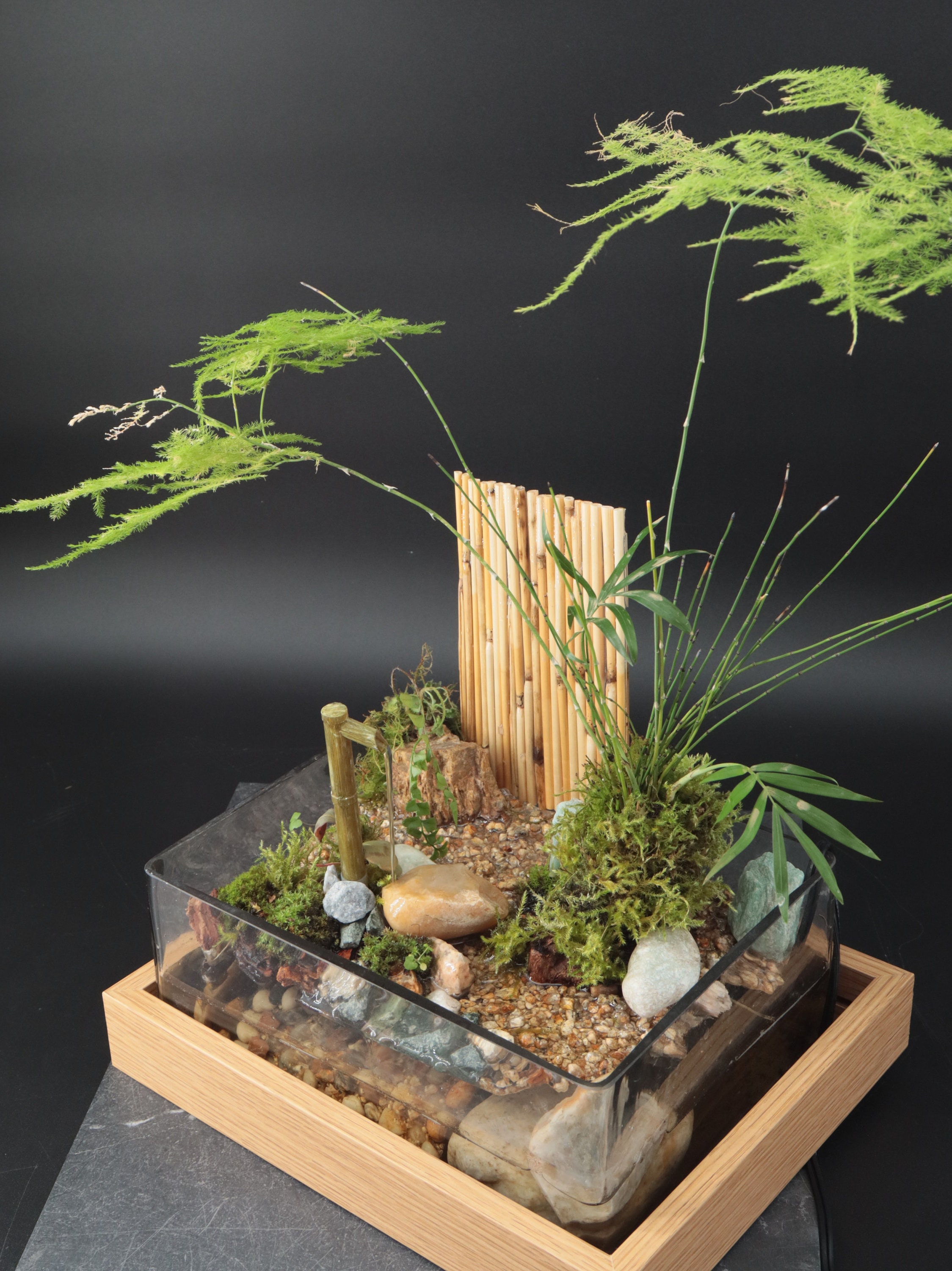 Miniature Indoor Water Garden