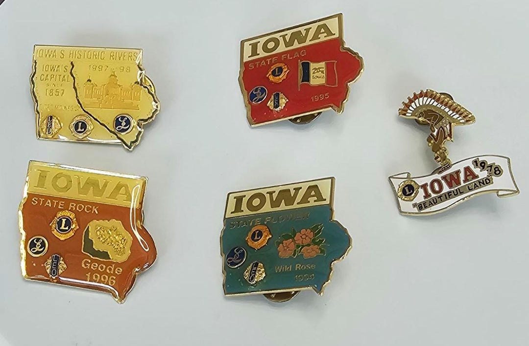 Vintage Iowa State Pin Back Collection: Geode, Wild Rose, Historic ...