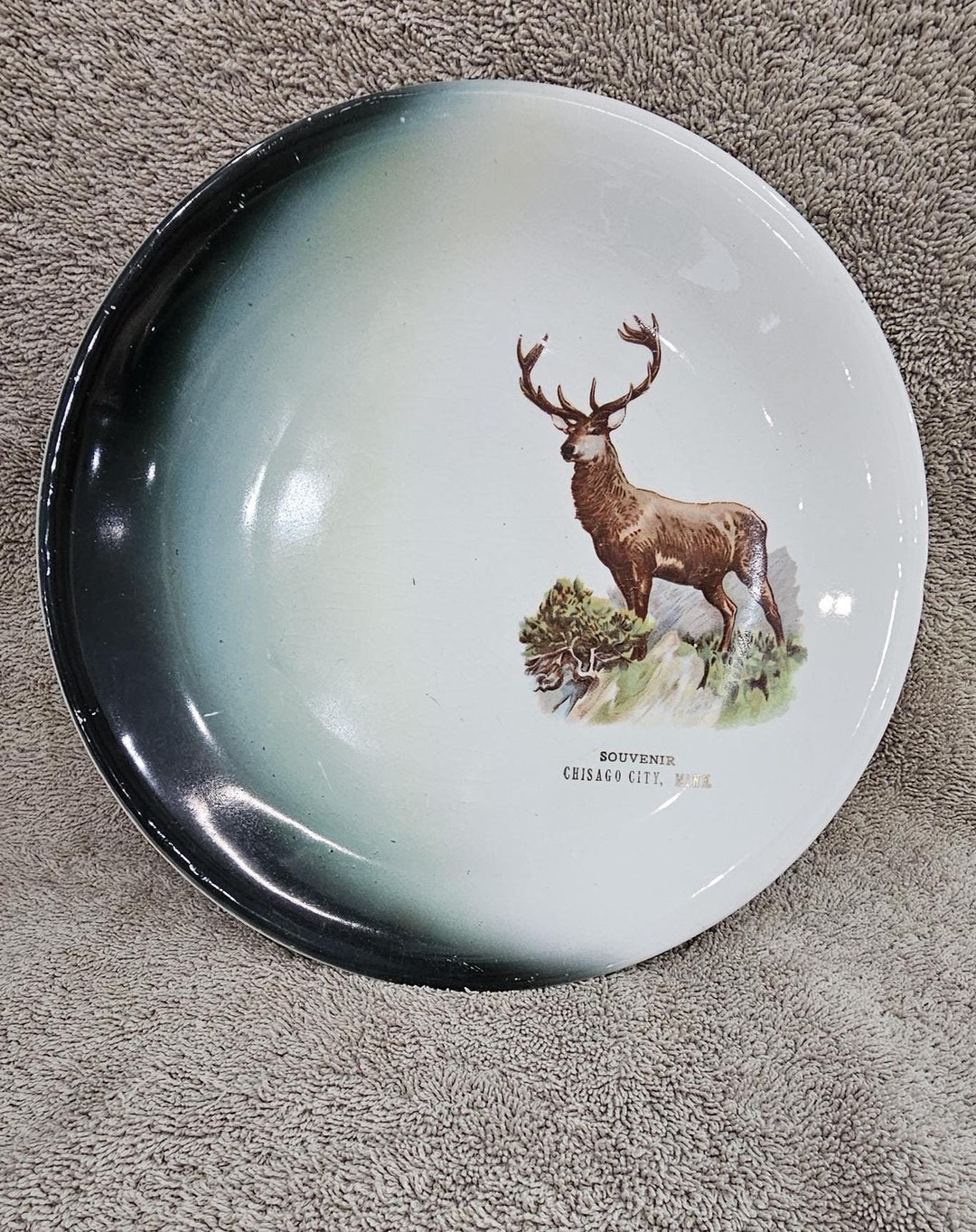 Great Vintage Souvenir Chisago City MINN Minnesota Deer Stag Plate!! - Etsy