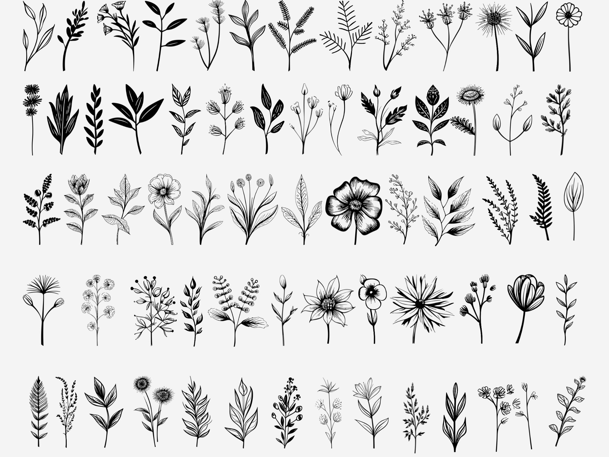 135 Botanical Svg Bundle, Floral Design Clipart, Greenery Plotter ...