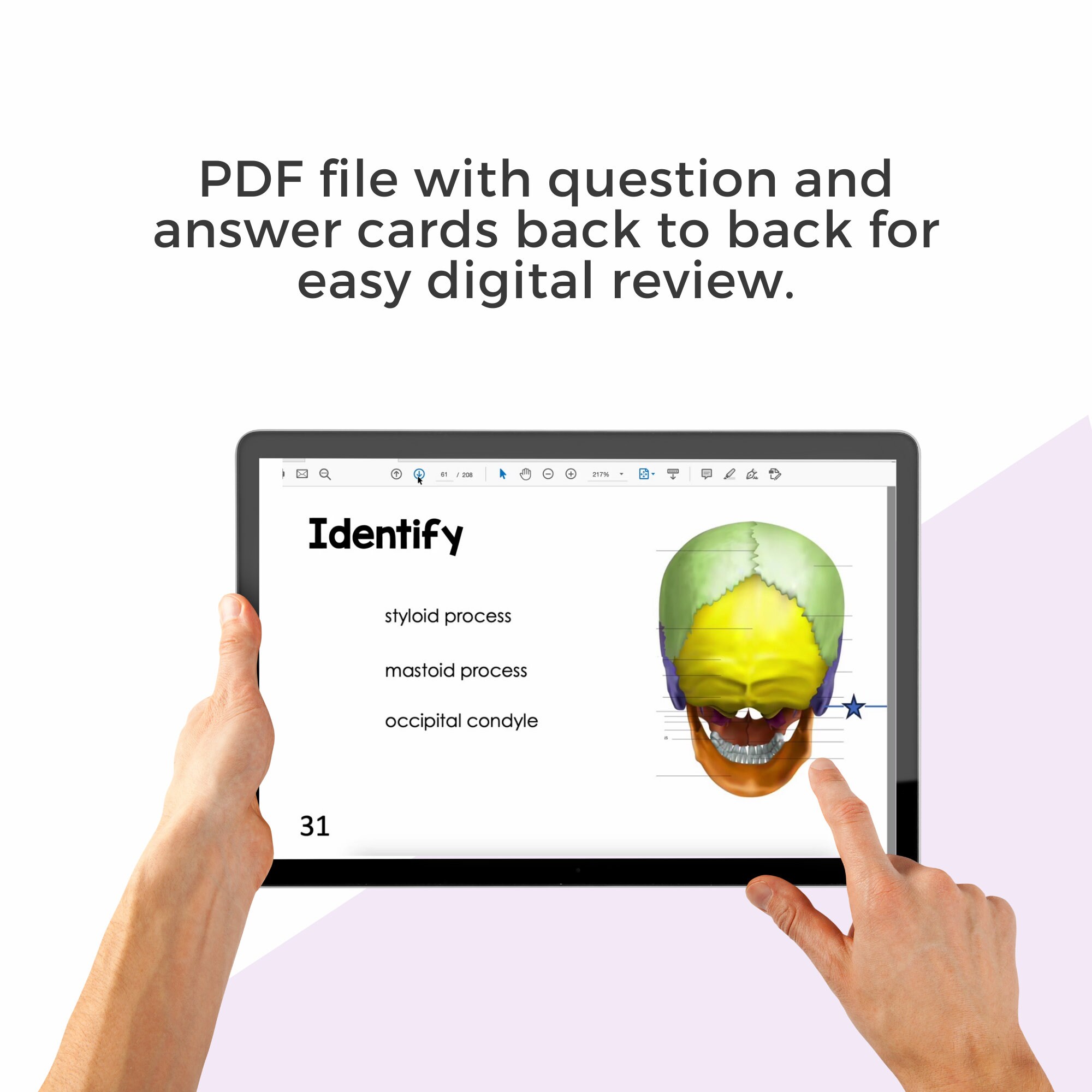 Skeletal System Flashcards. Anatomy & Physiology Study - Etsy