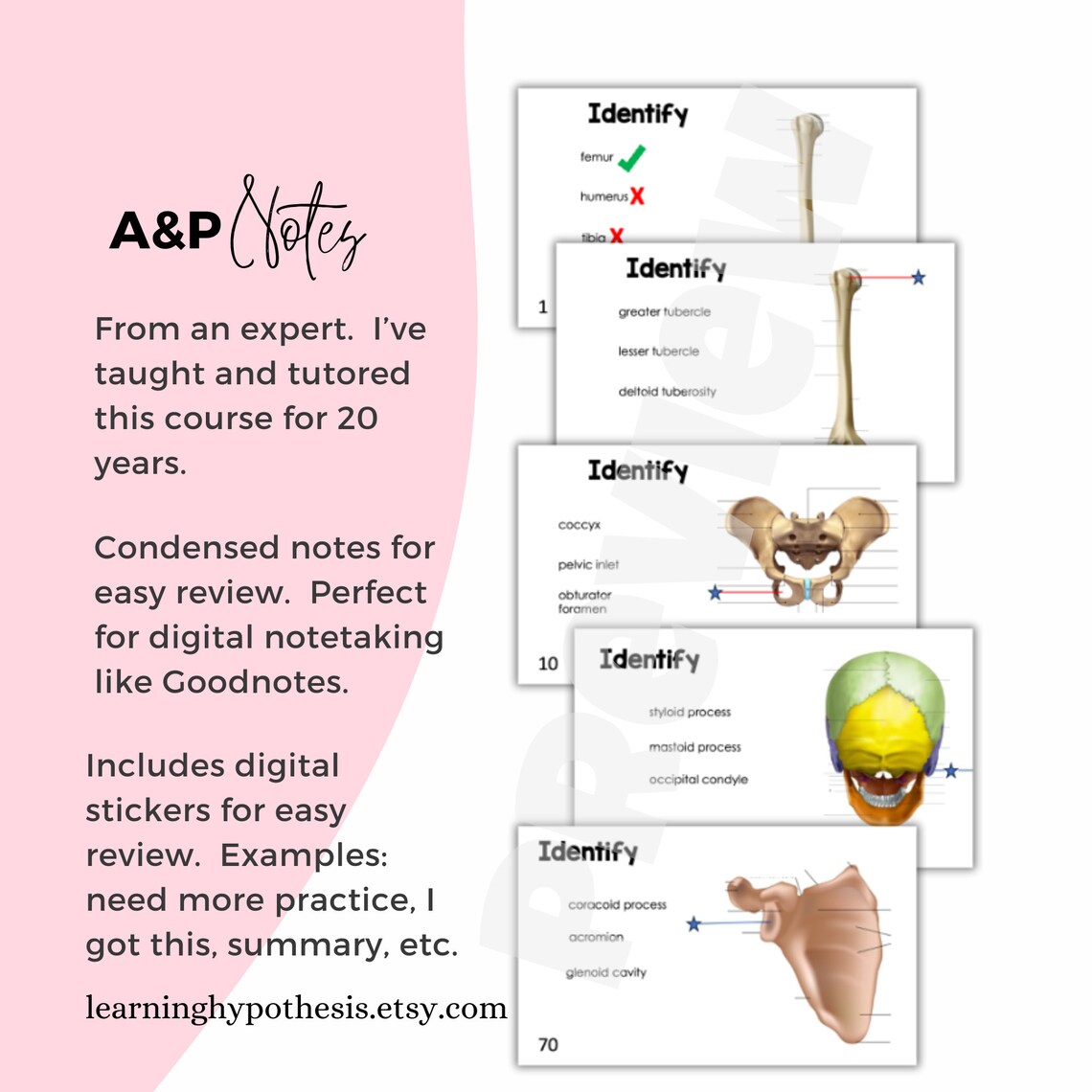 Skeletal System Flashcards. Anatomy & Physiology Study - Etsy