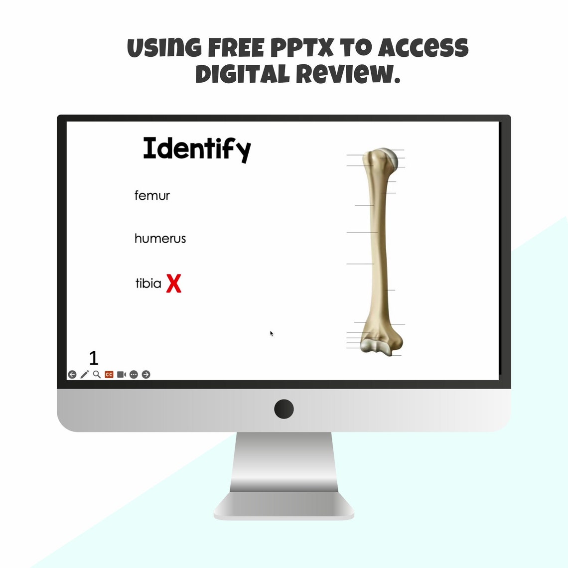 Skeletal System Flashcards. Anatomy & Physiology Study - Etsy