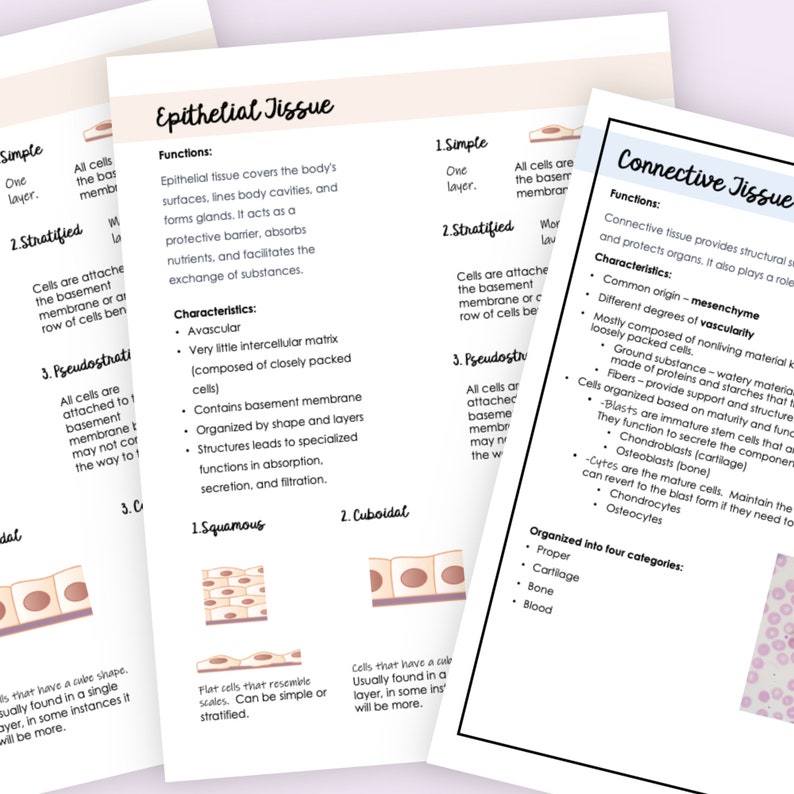 Anatomy Notes - Tissues & Anatomical Terms - Etsy