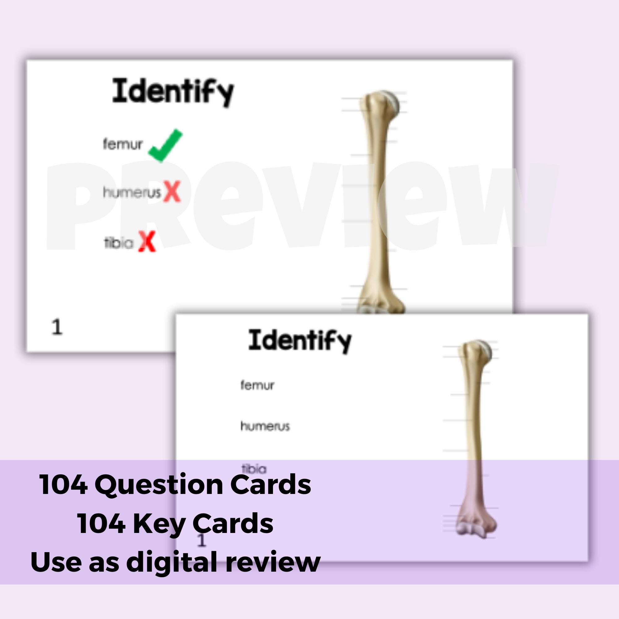 Skeletal System Flashcards. Anatomy & Physiology Study - Etsy