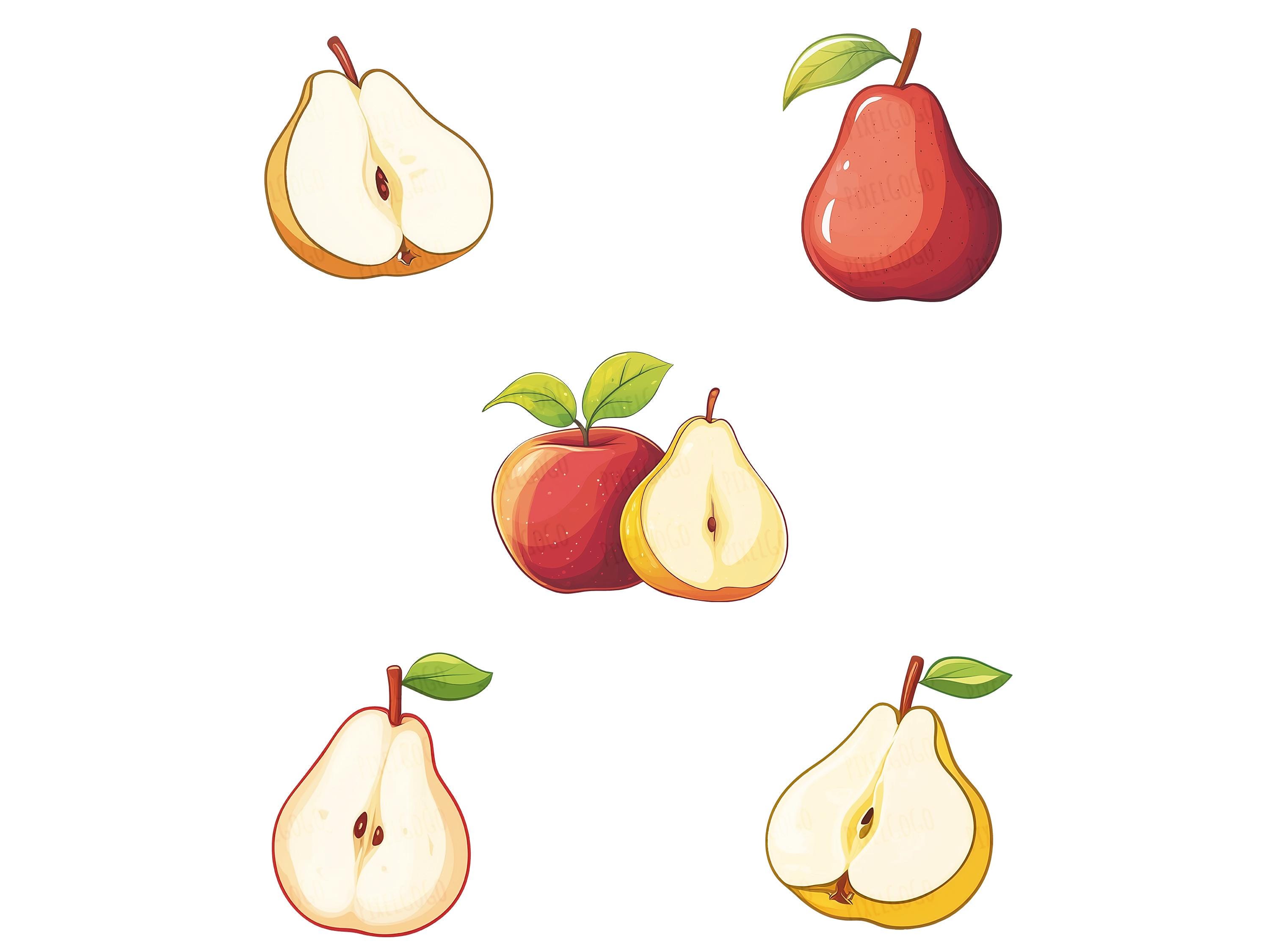Apples Pears Clipart Bundle 65 PNG Fruit Healthy Eating Nutrition ...