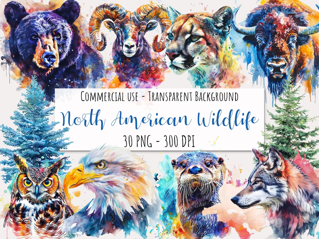 Animal Clipart Bundle 30 PNG Watercolor Bear Eagle Wolf Fox Owl Bison ...