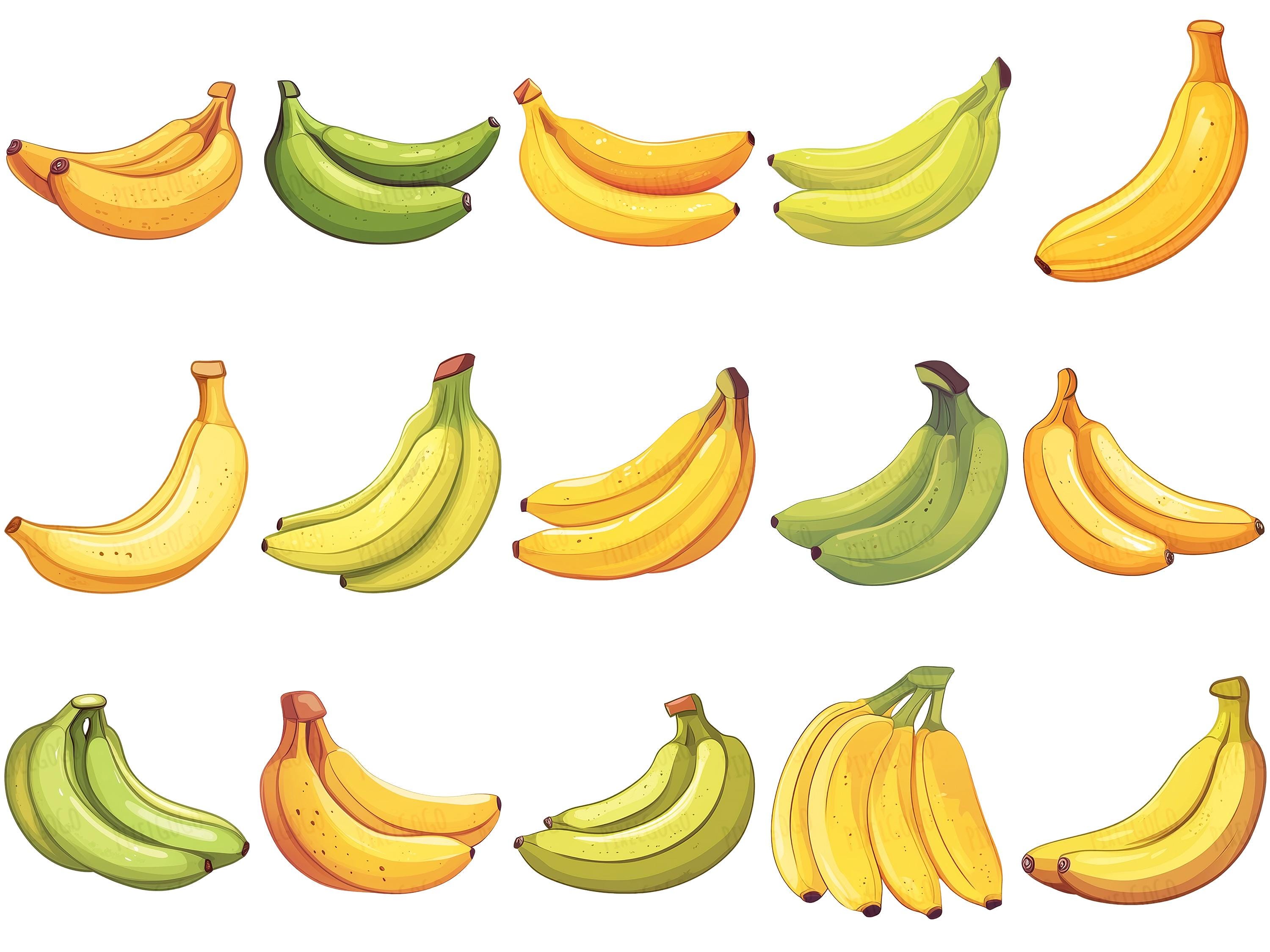 Banana Clipart Bundle, Fruit Illustration Graphics (30 PNG, Digital ...