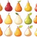 Apples Pears Clipart Bundle 65 PNG Fruit Healthy Eating Nutrition ...