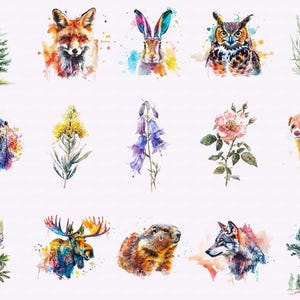 Animal Clipart Bundle 30 PNG Watercolor Bear Eagle Wolf Fox Owl Bison ...