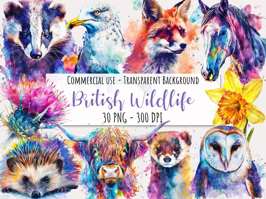 Animal Clipart Bundle 30 PNG Watercolor Fox Owl Rabbit Badger Stag ...