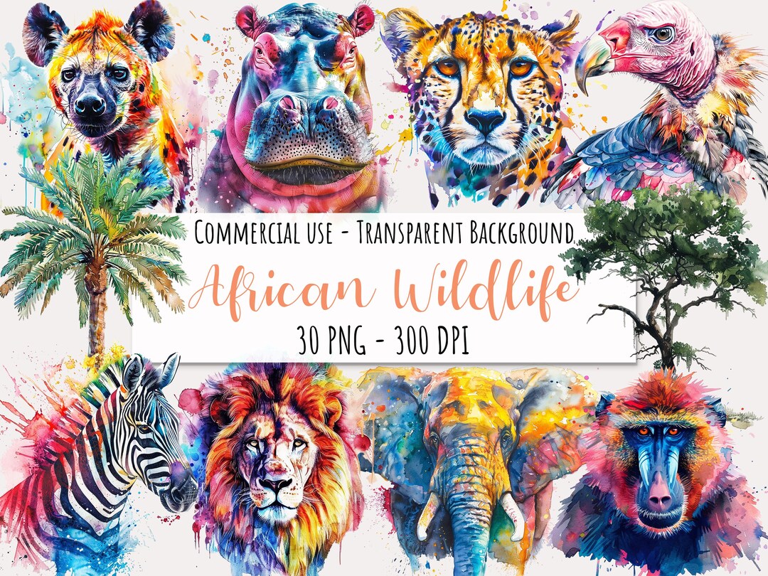 African Animal Clipart Bundle 30 PNG Watercolor Lion Zebra Hippo Hyena ...