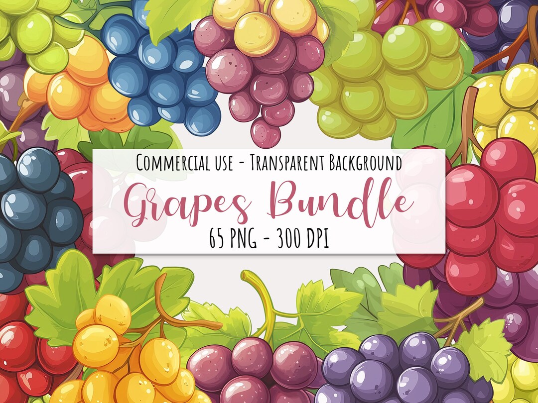 Fruit Grapes Clipart Bundle 65 PNG Vines Berries Bunch of Grapes ...