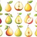 Apples Pears Clipart Bundle 65 PNG Fruit Healthy Eating Nutrition ...