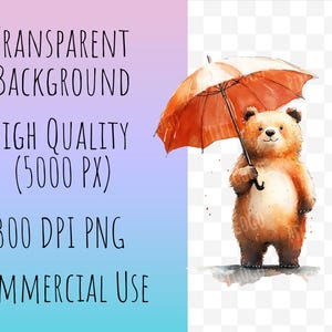 Bear Umbrella Watercolor Clipart 1 PNG Cute Animal Nursery Art Kids ...